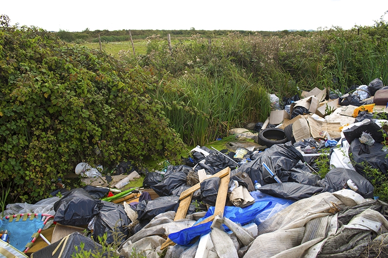Blog Entry: Scottish Waste Criminals - SkipHire UK